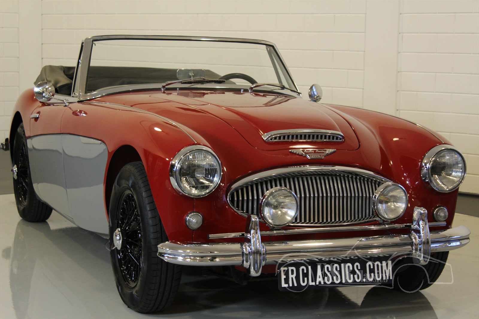 Austin Healey - Historia